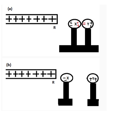 X and Y are two initially uncharged metal spheres on insulating stands ...