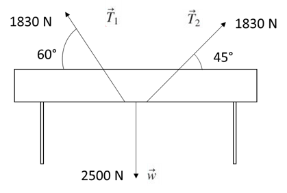 The two ropes seen in (Figure 1) are used to lower a 255 kg piano ...