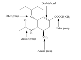 Oseltamivir can be prepared in 10 steps from shikimic acid. Identify ...