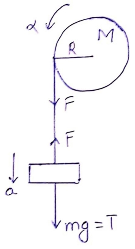 A counterweight is attached to a light cord that is wound around a ...