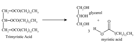 Write an equation for the reaction of refluxing trimyristin and aqueous ...