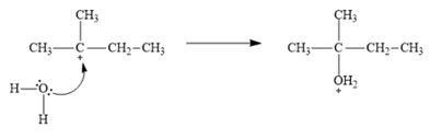 Consider the following SN1 reaction. Draw a mechanism for this reaction ...