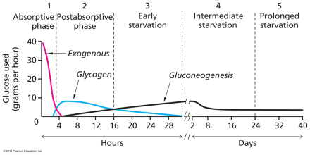 In general, the "Exogenous" curve describes something that originates ...