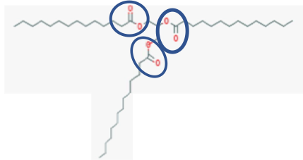 Cirlce and name all functional groups in the picture below: | Homework ...