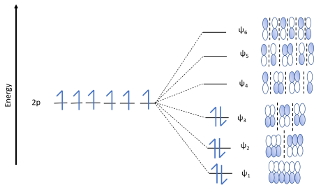 Answer the questions below for 2,4,6-octatriene. Before you begin ...