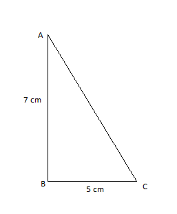 In a certain right triangle, the two sides that are perpendicular to ...