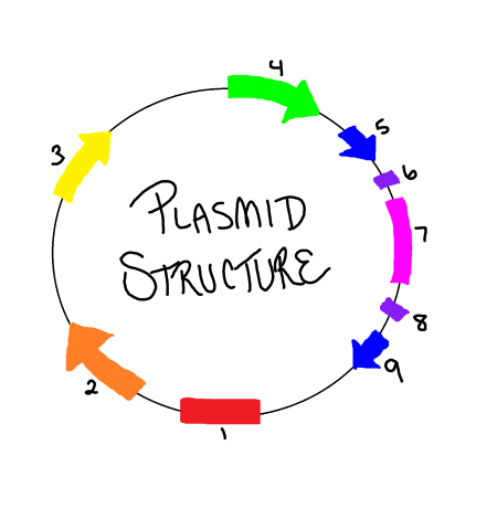 Resistance genes are readily moved from one cell to another by gene ...