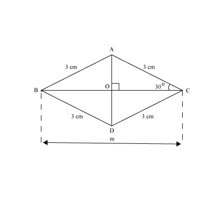 Find the distance m in the diagram. | Homework.Study.com