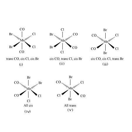 What Are Geometric Isomers Compounds That Have - Infoupdate.org