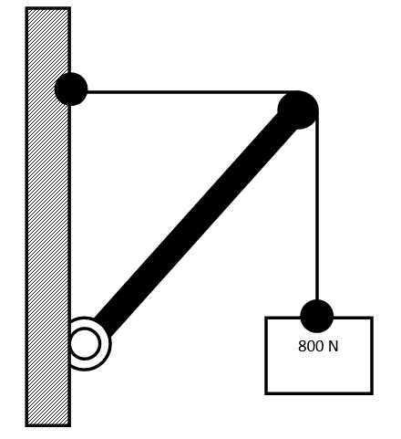 A 5.0 m weightless strut, hinged to a wall, is used to support a 800-N ...