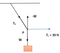 A rope suspended from a ceiling supports an object of weight W at its ...