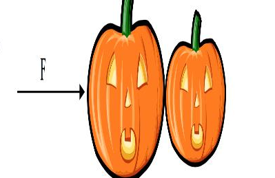 A 10.0 kg pumpkin sits beside a pumpkin of unknown mass. Peter ...