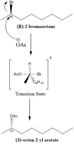 Draw the product you expect from the reaction of (R)-2 bromooctane with ...