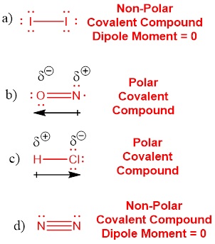 Please help me answer ALL the questions. -What is the correct ionic ...