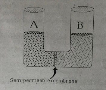 Assume that the glass U tube shown here is equipped with a ...