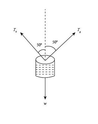 A boy and a girl carry a 12 kg bucket of water by holding the ends of ...