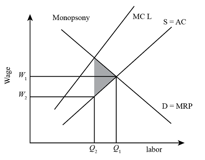 Assume a firm: (i) is a monopsonist in hiring labour (ii) is selling ...