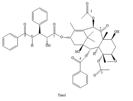 Which carbonyl groups in the anticancer drug Taxol will undergo ...