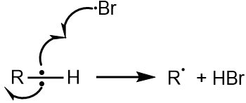 Write the structures of all of the monobromination products of 1,1,3,3 ...