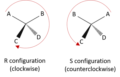 Draw the structure of (S)-1-bromo-1-chlorobutane. Use bold or hashed ...
