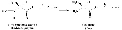 Write out the steps for the synthesis of each peptide using the ...