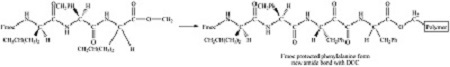 Write out the steps for the synthesis of each peptide using the ...