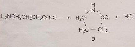 Compound D is a cyclic amide that can be prepared as shown. Name and ...