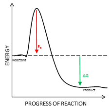 Which energy diagram best illustrates a reaction that is ...
