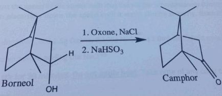 Show the complete synthesize of camphor. [{Image src ...