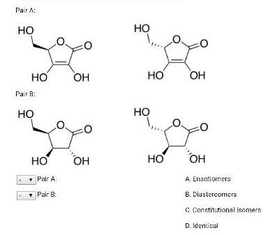 What is the relationship of the following two structures? | Homework ...