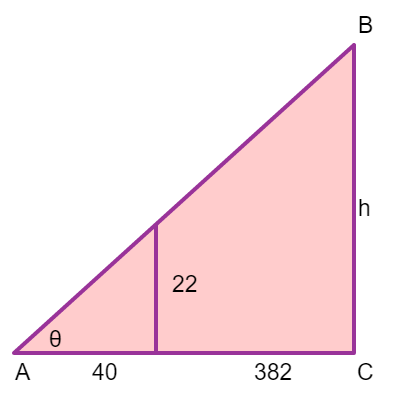 A tree stands 22 feet tall and is 382 feet from a building. The tree ...