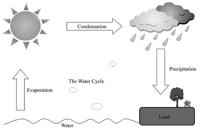 How Do You Explain The Water Cycle - Infoupdate.org