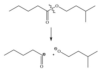What were the reactants used to produce isoamyl valerate via fisher ...