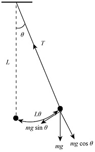 Show that for small oscillations, the motion of a simple pendulum is ...
