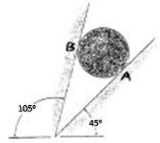 Draw the FBD of the ball. Given that the mass of the ball is 45 kg ...