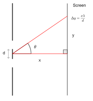 The figure shows a double slit located a distance x from a screen, with ...