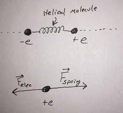 A molecule of DNA (deoxyribonucleic acid) lies along a straight line ...