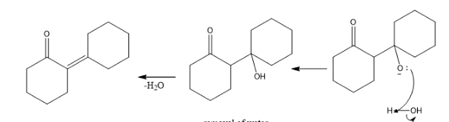 Predict the product when cyclohexanone reacts with aqueous sodium ...