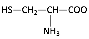 Spell out the full names of the compounds. | Homework.Study.com