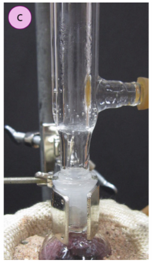 1. Explain clearly what is meant by the term "ring of condensation ...