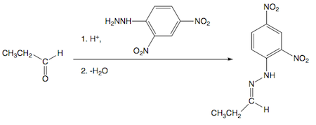 Give the product for the following reactions. [{Image}] | Homework ...