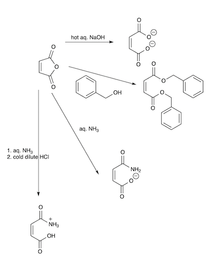Determine the product(s) when succinc anhydride reacts with: 1.) Hot ...
