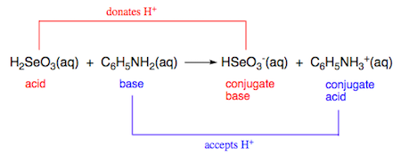 Consider the following acid-base reaction: H2SeO3(aq) + C6H5NH2(aq ...