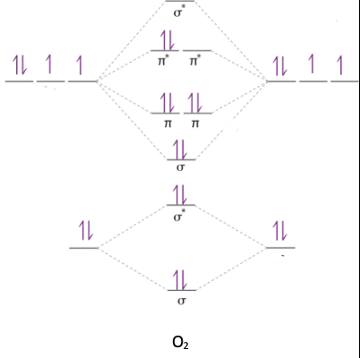 Between the O2 molecule and the O2- ion, which would you expect to have ...
