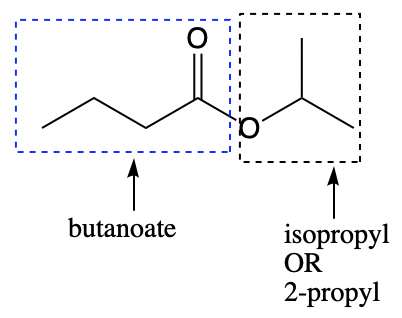 Propyl Butanoate Structure Diagram