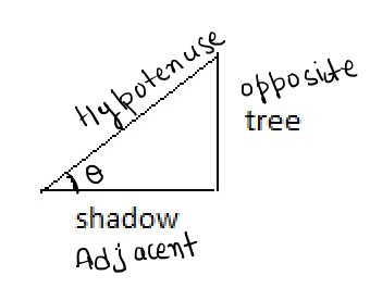 A 12 foot tall tree casts a shadow that is 20 feet long. What angle ...