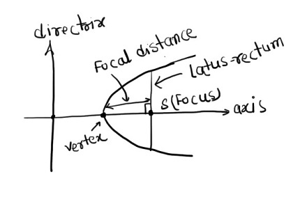 What are the four kinds of parabolas? | Homework.Study.com