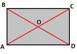 What type of quadrilateral is a rectangle? | Homework.Study.com