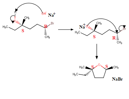Draw the mechanism for the following reaction. Label all stereocenters ...