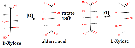 Which aldopentose gives the same aldaric acid as D-xylose ...